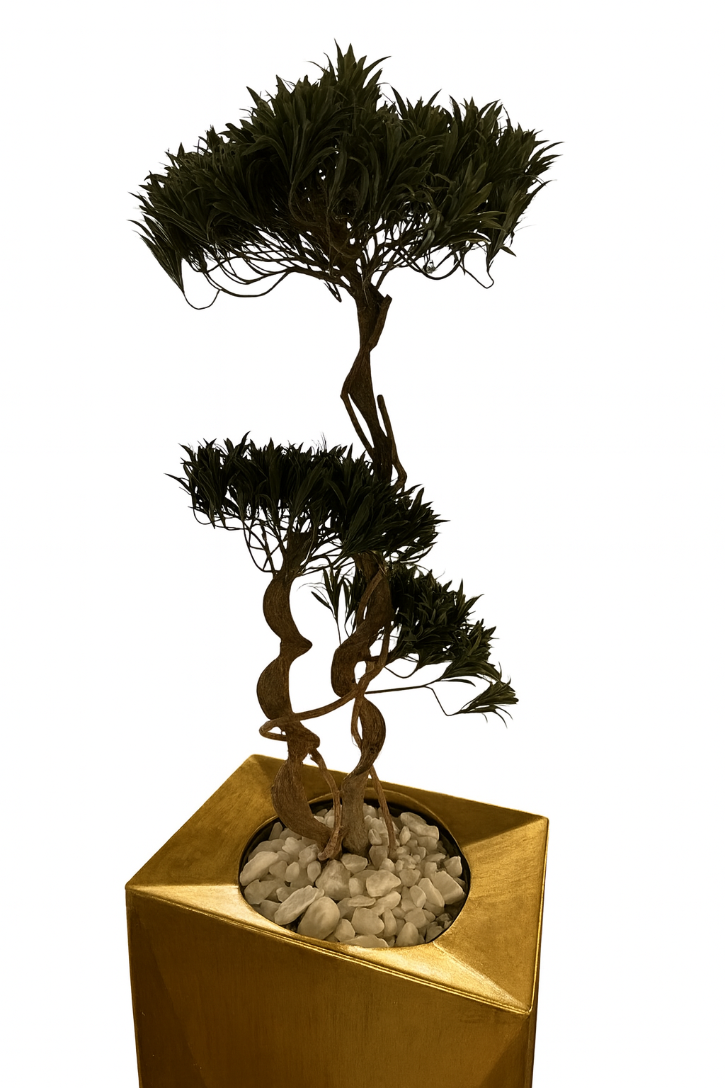 Twist Trunk Bonsai Tree – Design Luxe Interiors